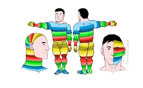 The Hirata Zones and Shiatsu | Ryoho Shiatsu